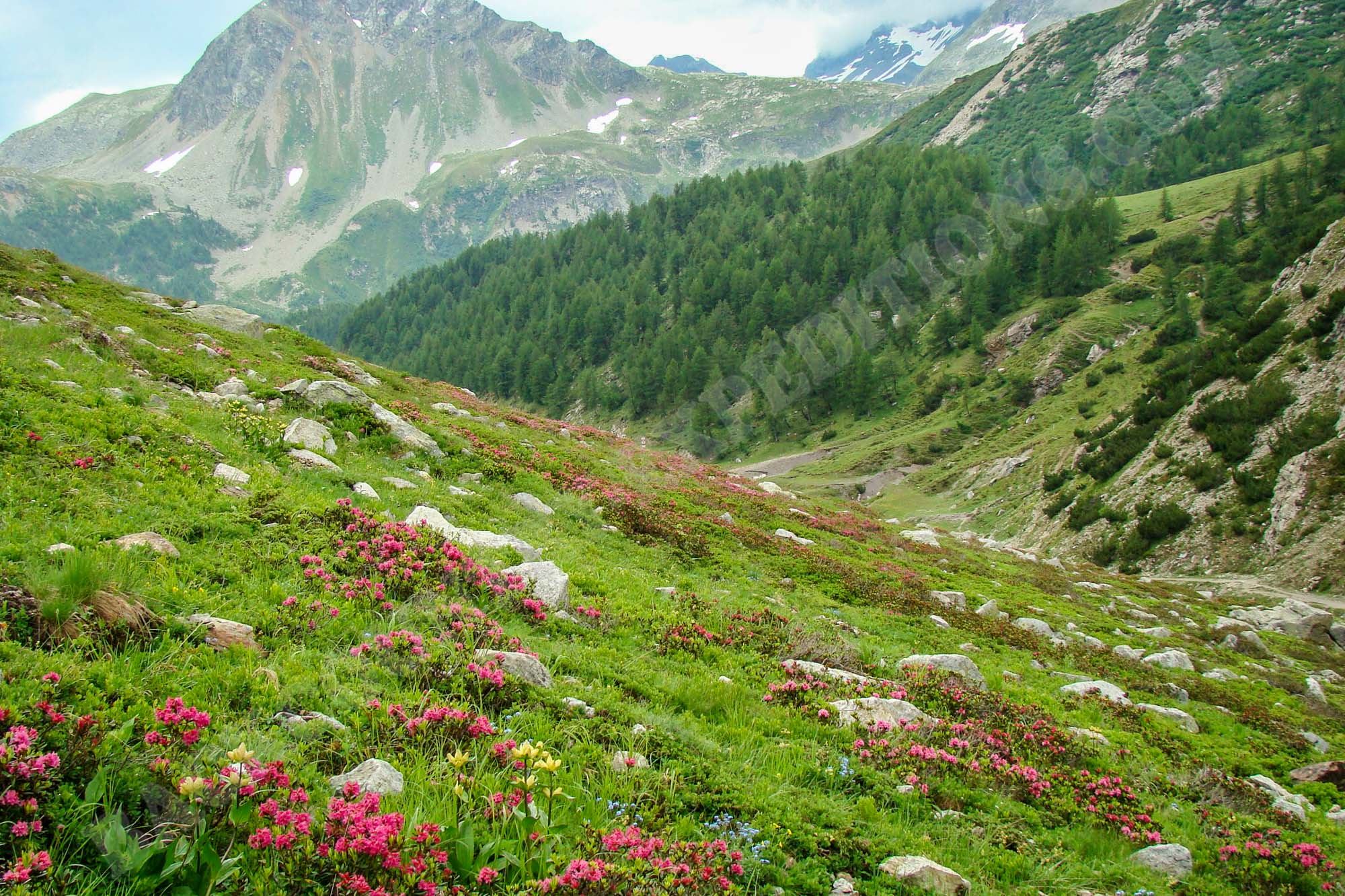 Slovensky Raj Nationalpark (SK) - Backcountry Expeditions