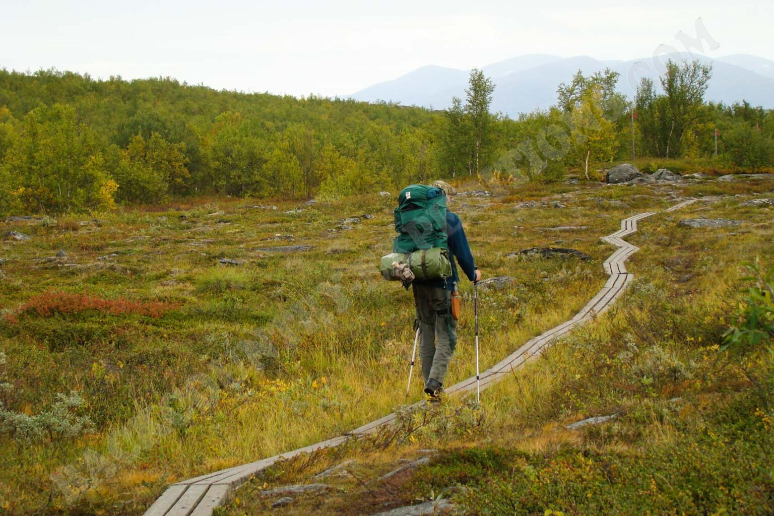 Busse Combat Fat ASH-1 Double Cut INFI - Backcountry Expeditions